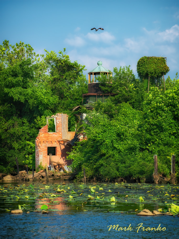 Tours – Bay Raider Outfitters LLC